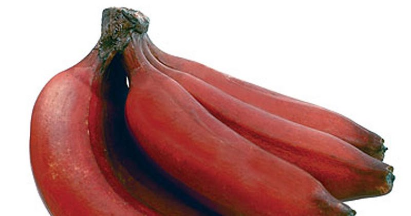 NEWS & SPORT 360°: HAI PROVATO LA BANANA ROSSA