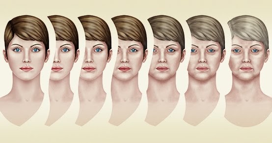 Aging. Illustration of aging process