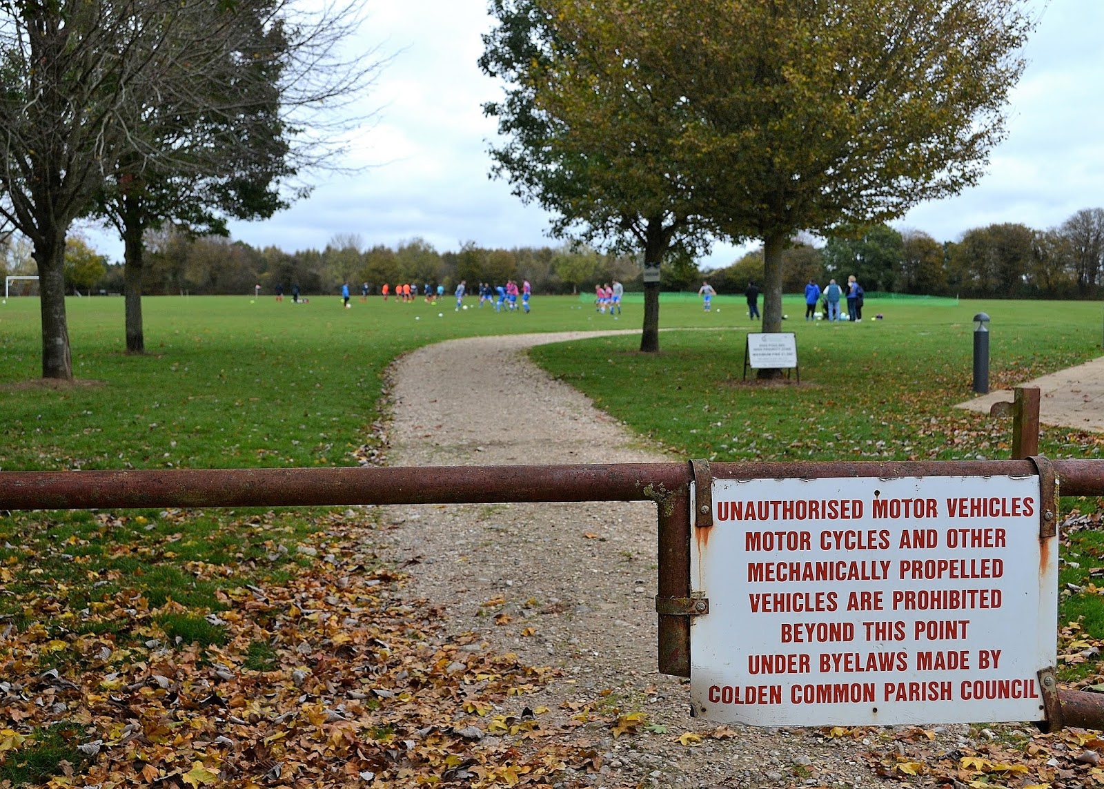 Hopping Around Hampshire: Colden Common v Liphook United