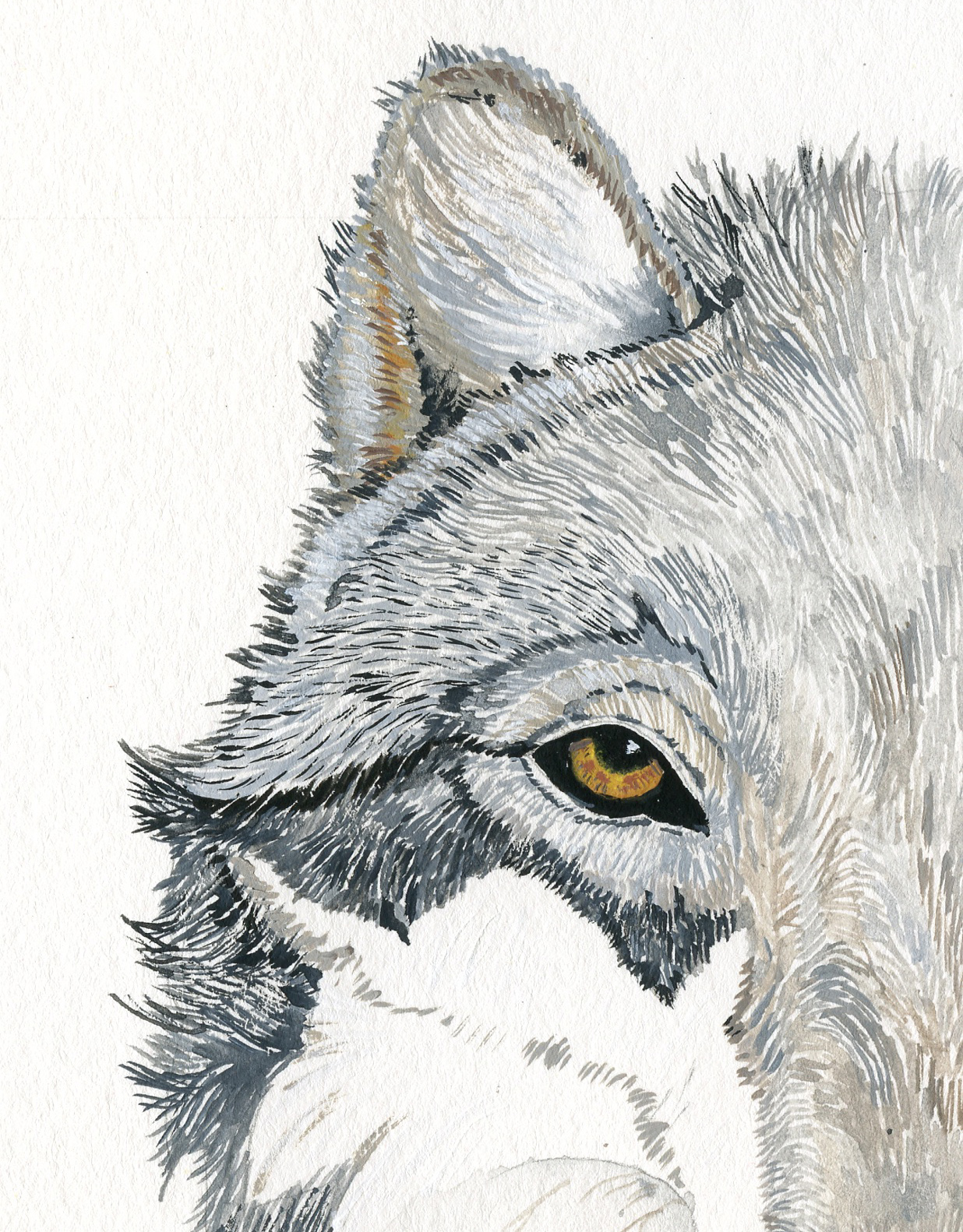 Kay Murphy's Studio Kay Murphy-Wallace:artist