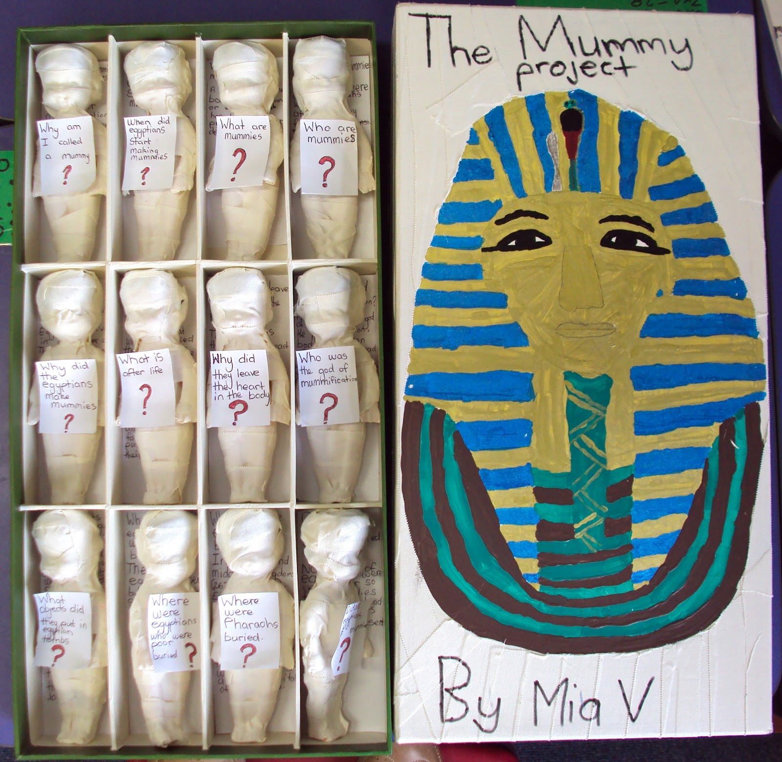 Top of the Totara Tree: The Mummy Project By Mia V