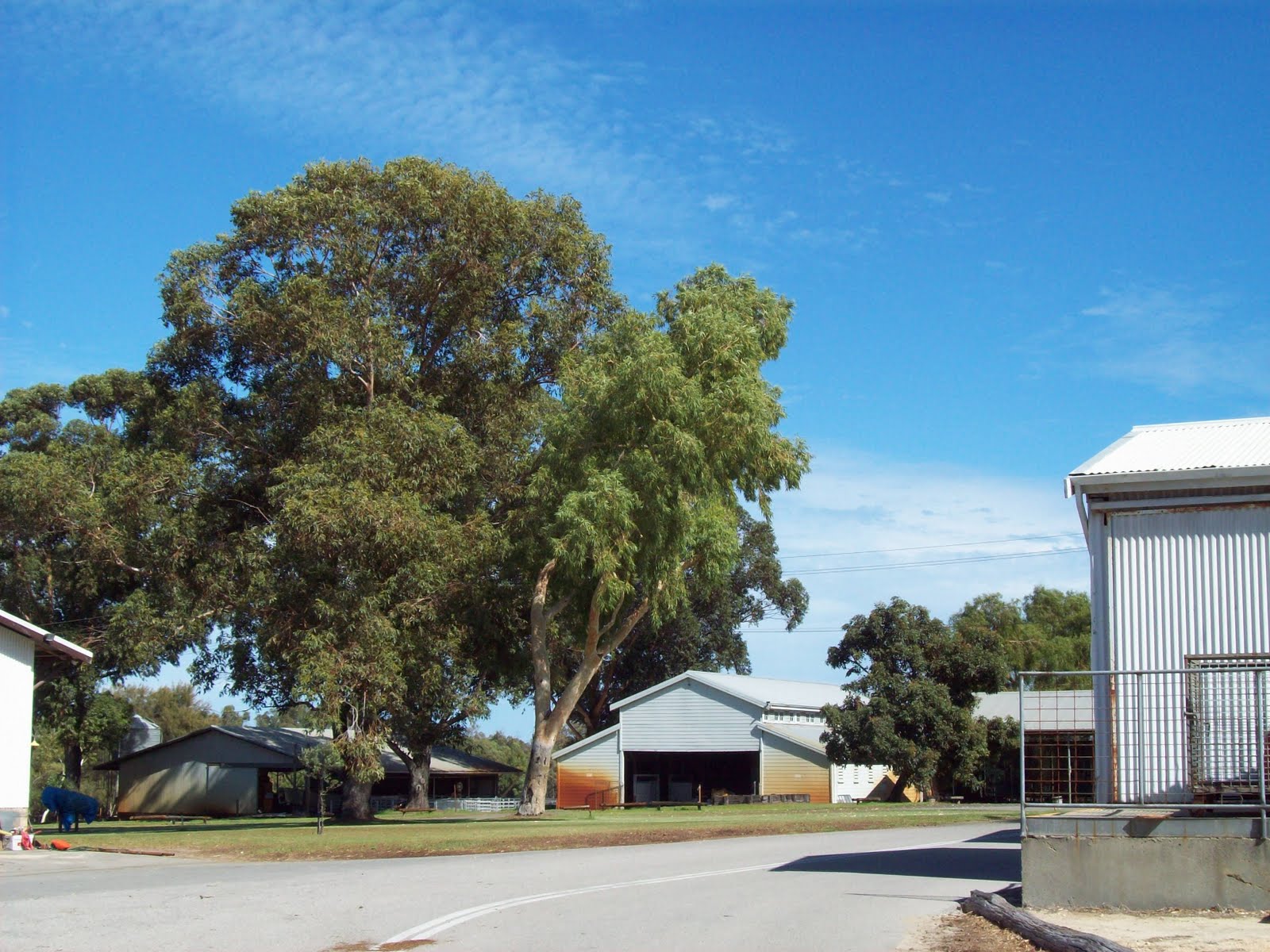 Veterinary Studies is well-known: