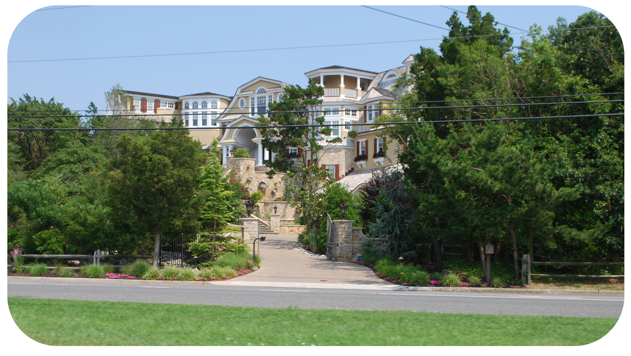 I'm fried! - Cuckoo4Design