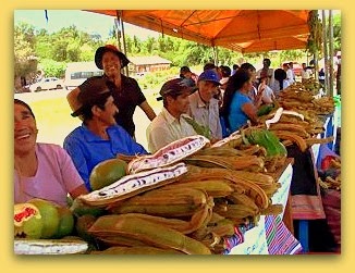 PLAAN : Pacae - Inga feuilleei