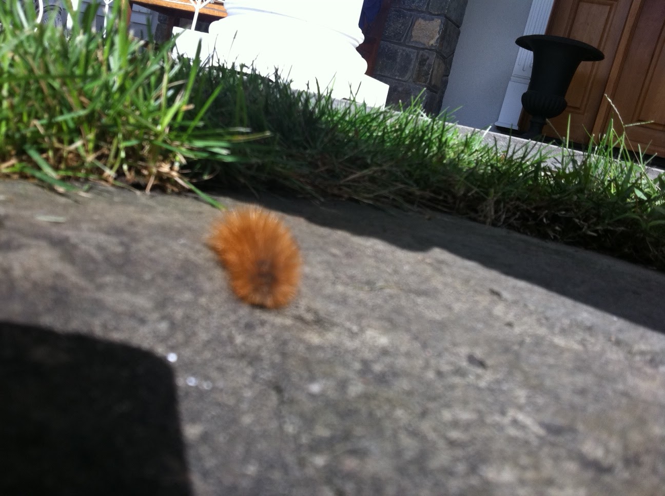 White Rabbit England: Little Critter and The BBC Magic Roundabout.