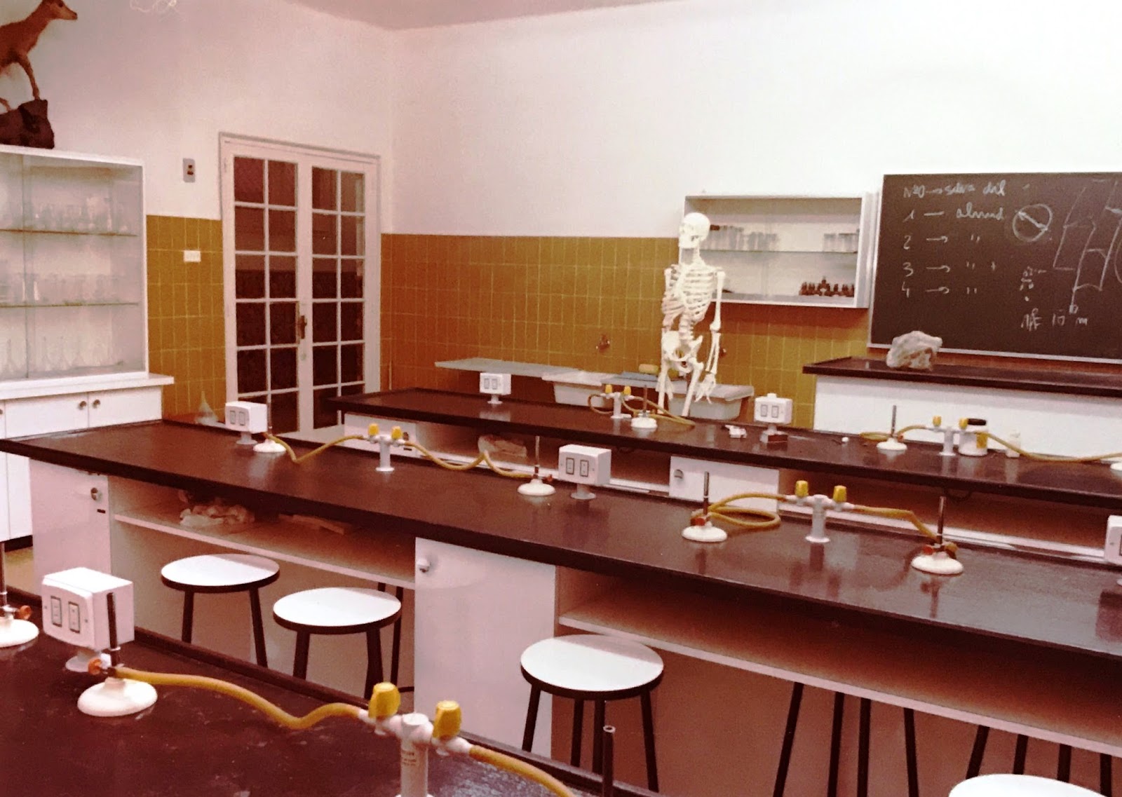 Espais: els laboratoris