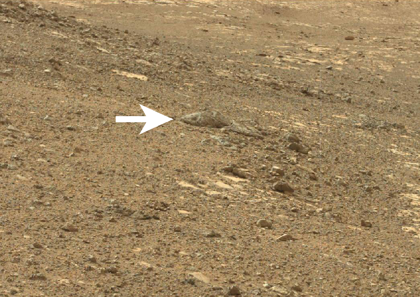 Prehistoric Sea Creature Found On Mars?