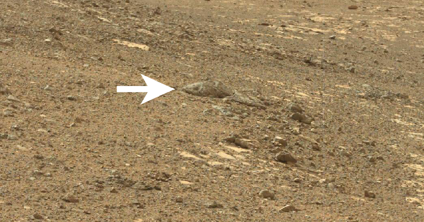 Prehistoric Sea Creature Found On Mars?