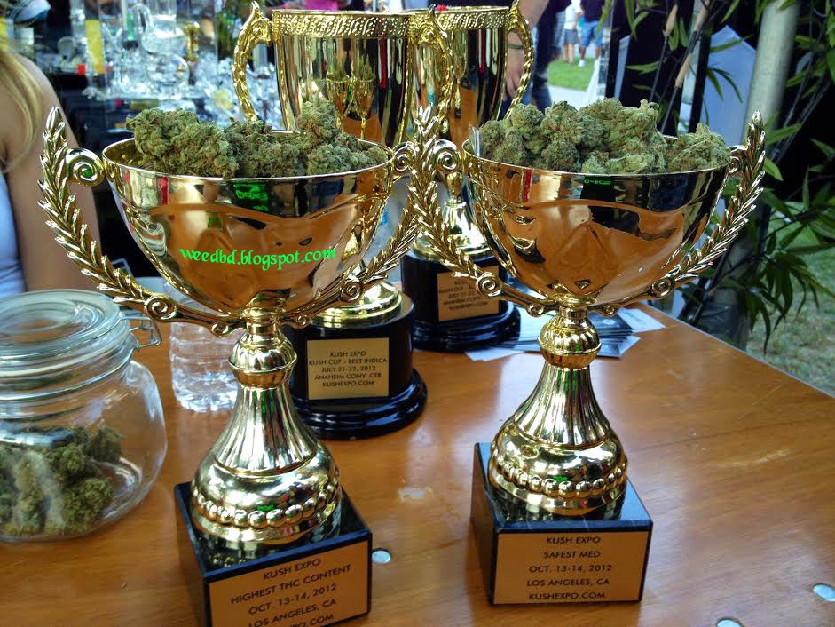 Weedbd best | WEED BD