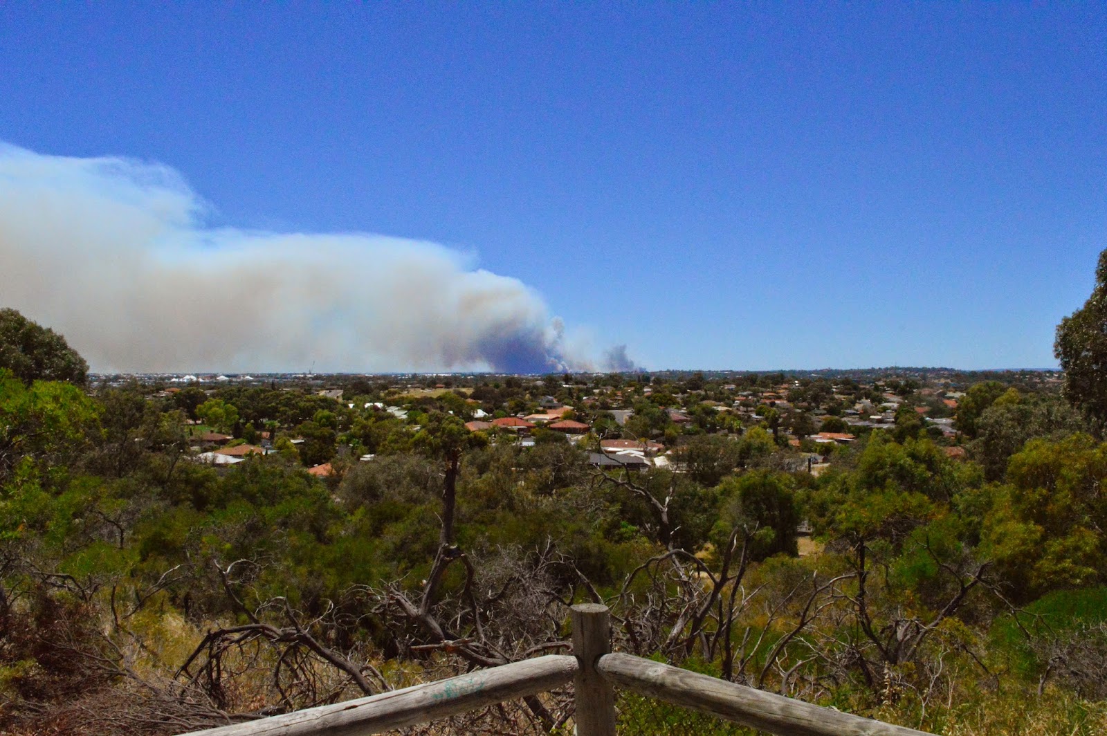 Fish out of water: Bullsbrook Bushfire