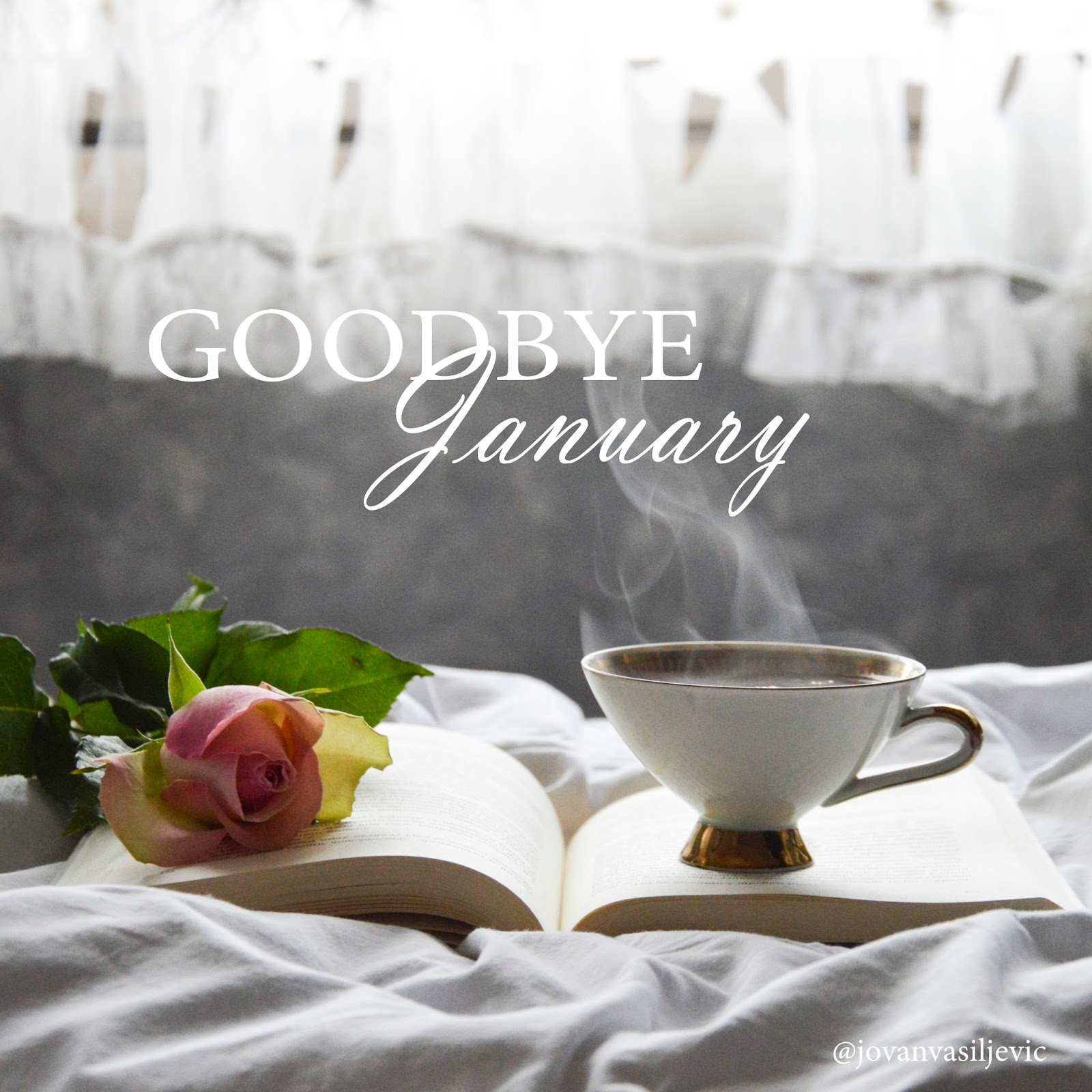Goodbye January | United Thoughts of a Wanderluster
