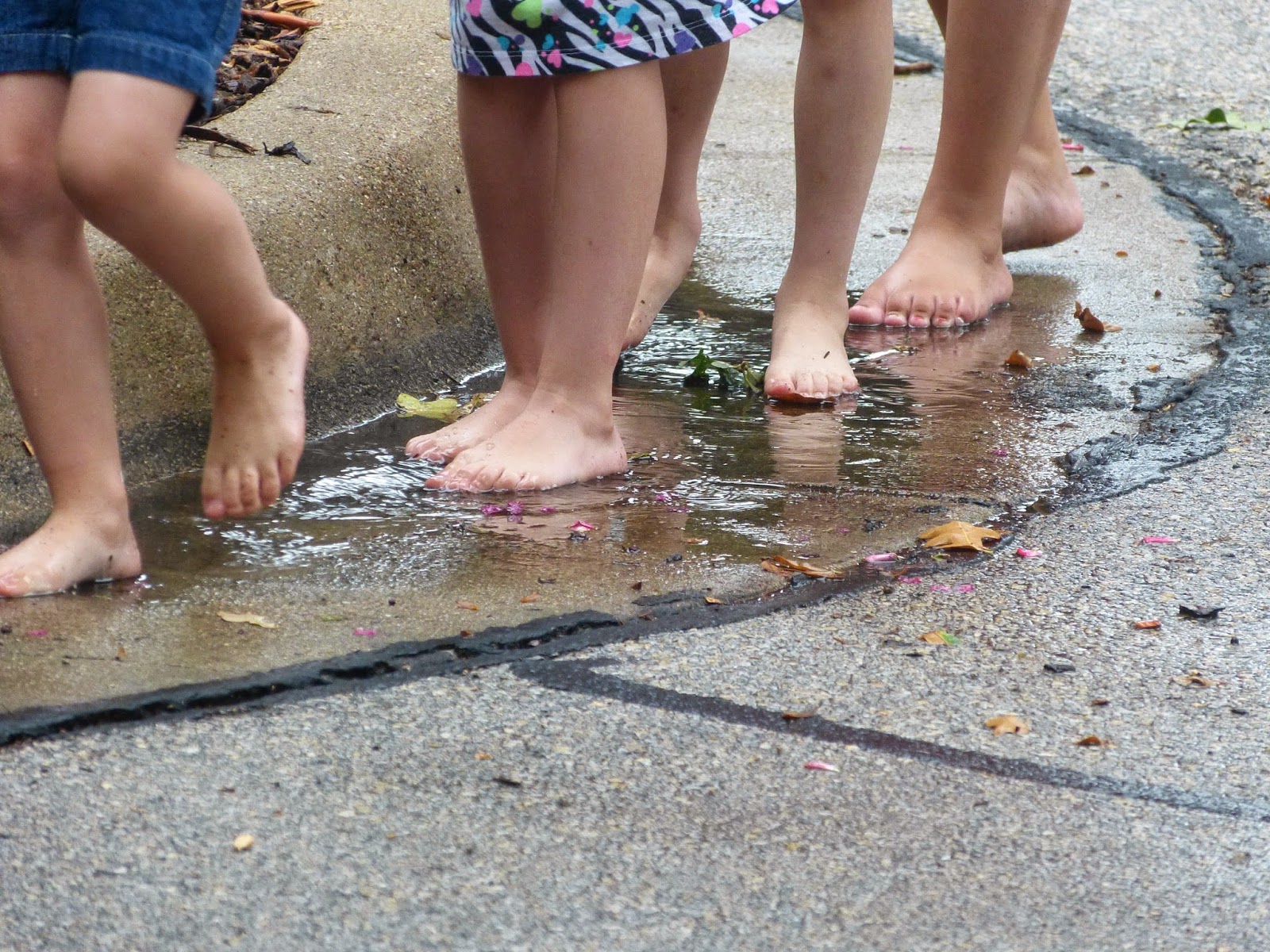 Paula's Primary Classroom: Pigs and Mud: Getting ready for ...