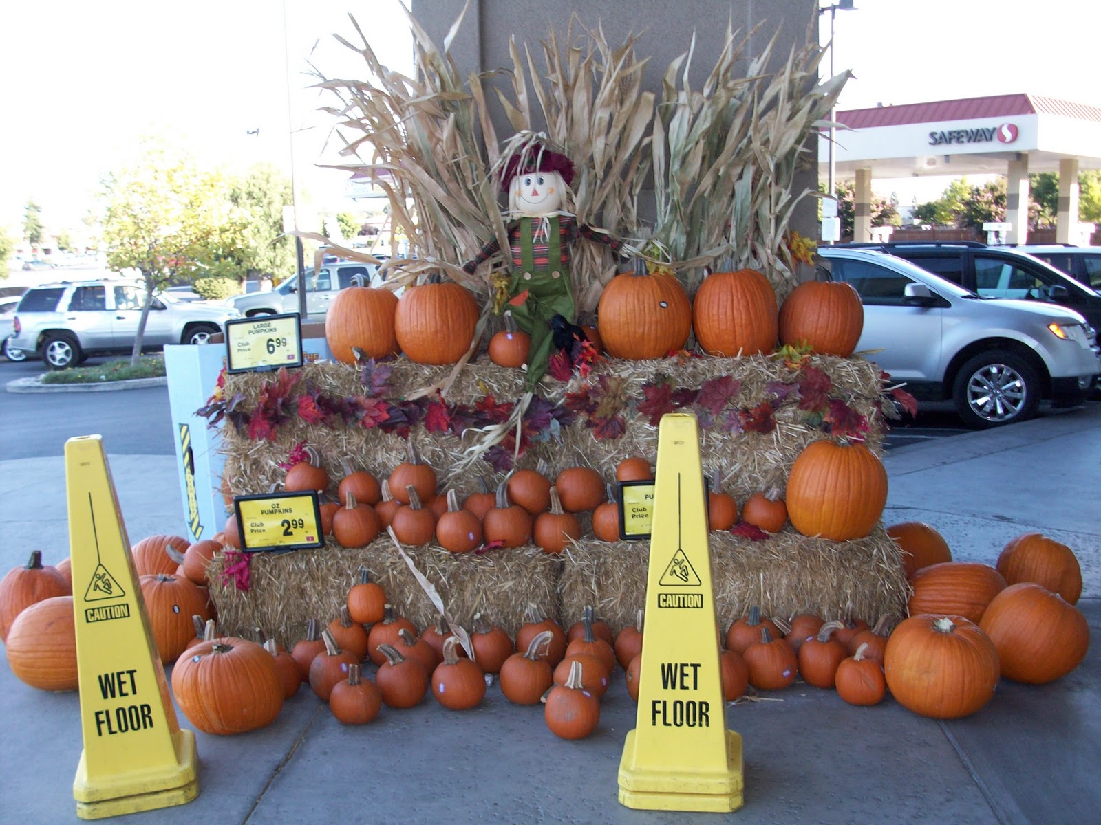 Whatever I Think Of!: Pumpkin Displays at Safeway