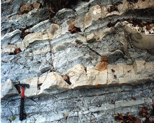 Prinsip Dasar Geologi Struktur - Geologi Indonesia