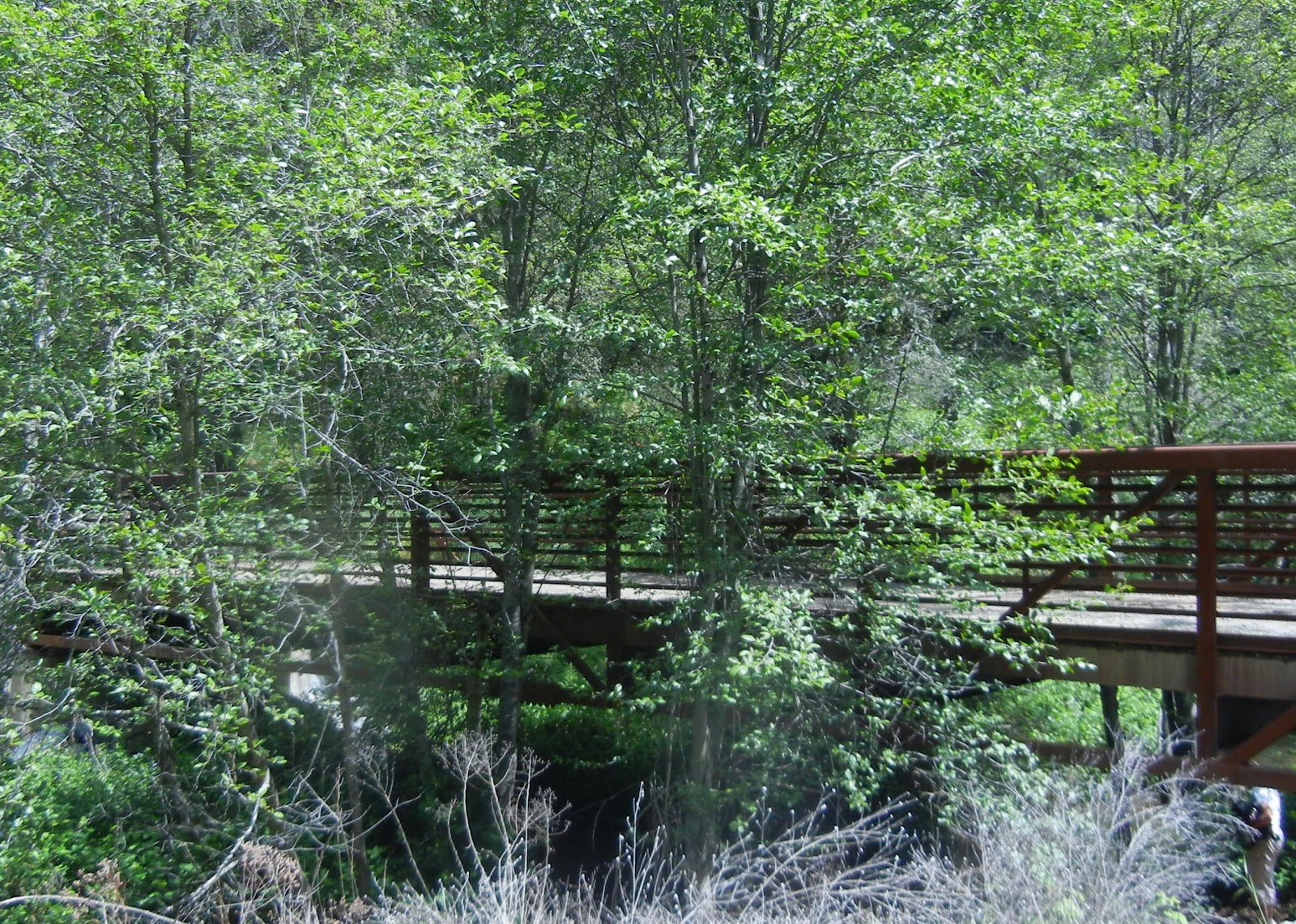 Peachy Hiker: Hidden Falls in Placer County, CA