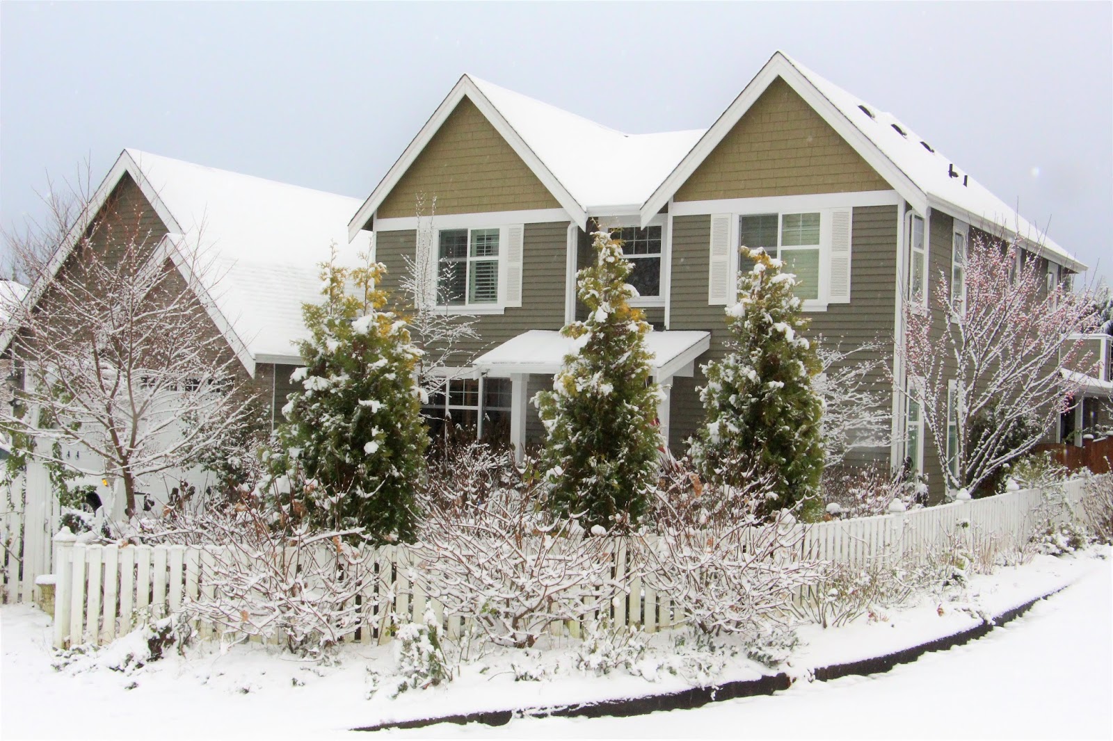 Fishtail Cottage's Christmas 2016... #5