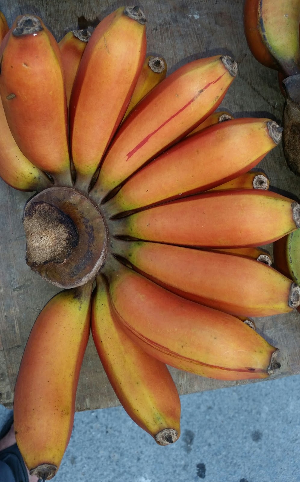 Warisan Petani: Riwayat Hidup Pisang Raja Udang