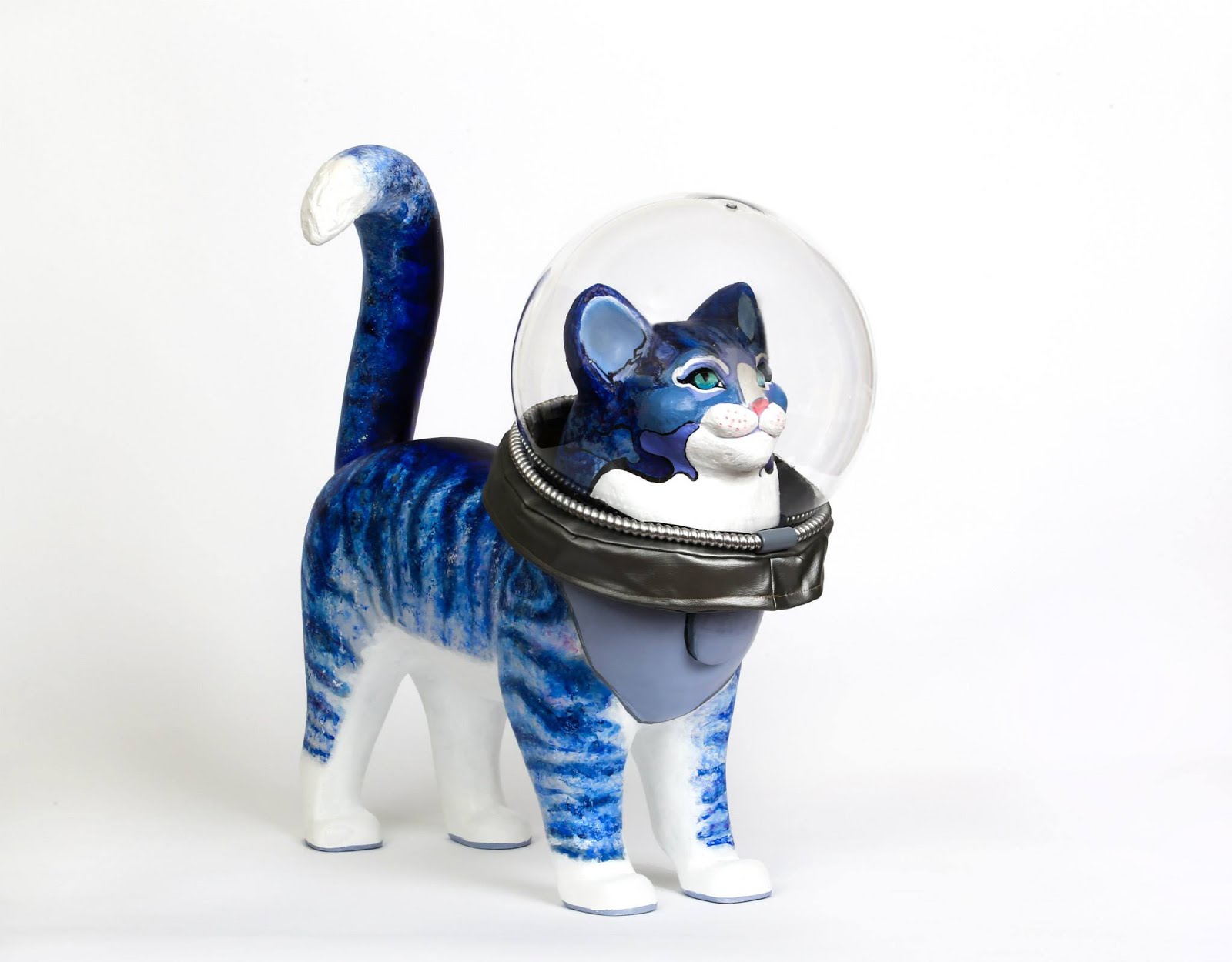 The Cosmos Cat Project: Preparation