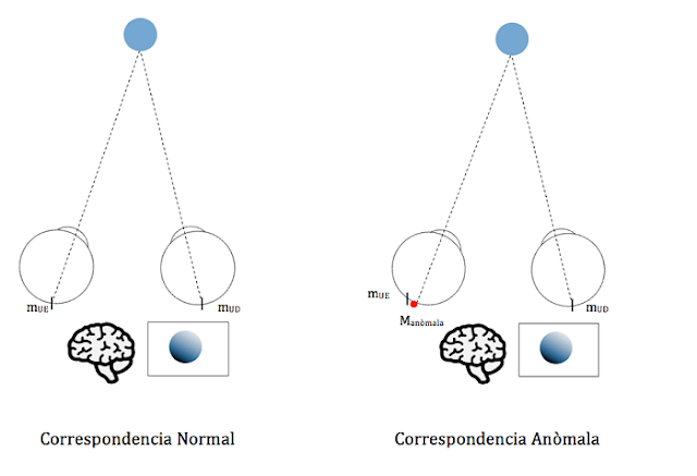 Cátedra N° 11 - Estudio sensoriomotor