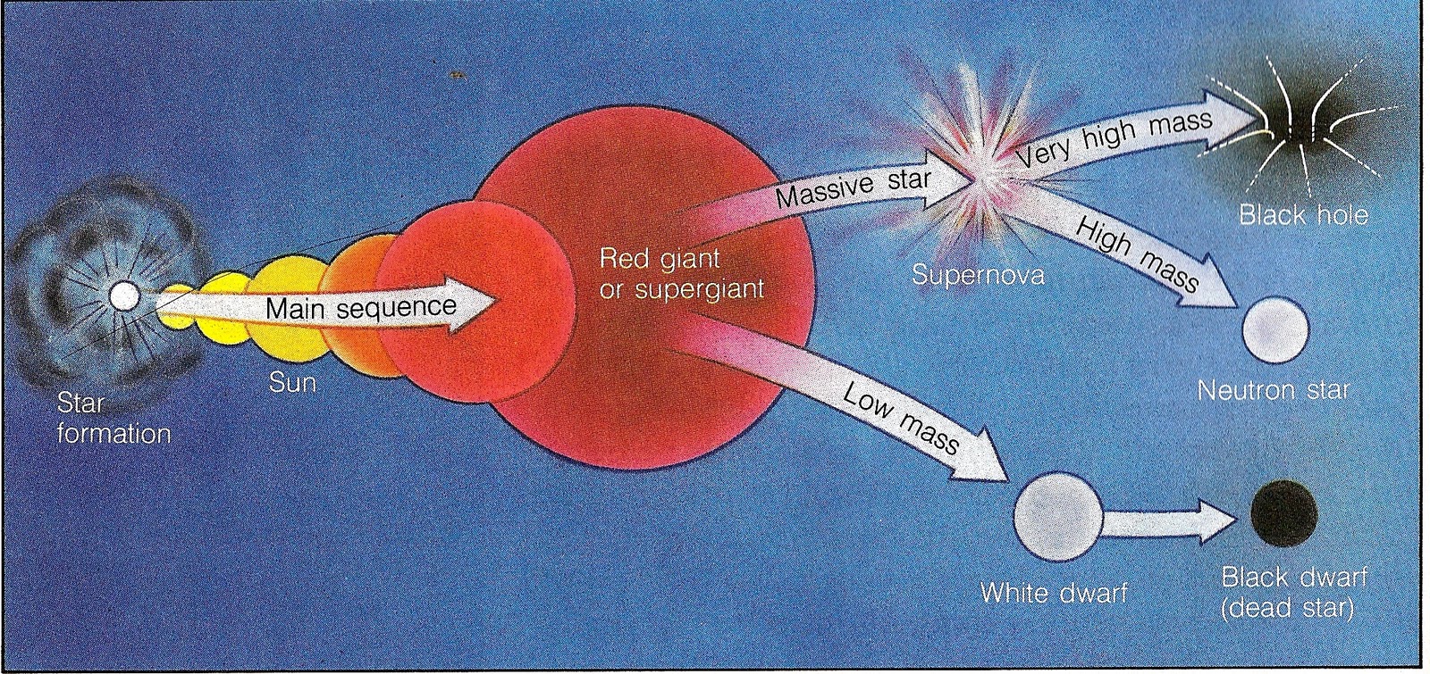 Evolution of a Star | Metanerds