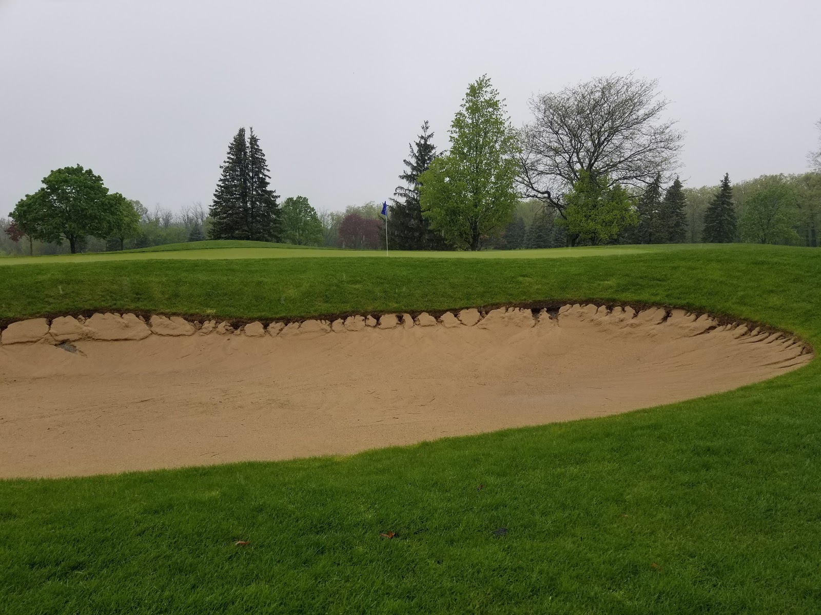 Wilmette Golf Club Grounds and Greens : 2018