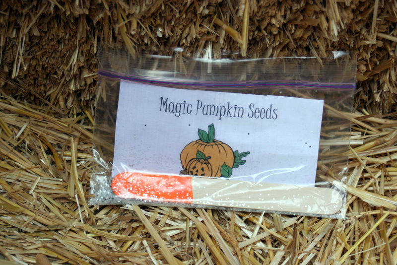 Greene Acres Hobby Farm: Magic Pumpkin Seeds