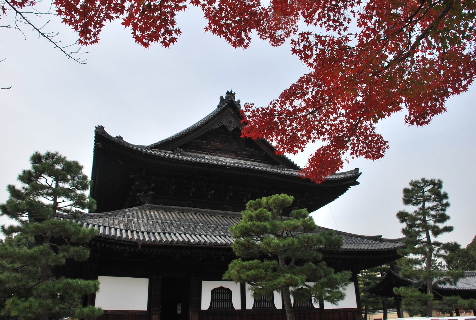 Seven Bowls of Tea: Kennin-ji 建仁寺 Tea Temple