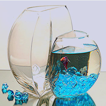 ID Mommy: Fish Bowl Roundup!