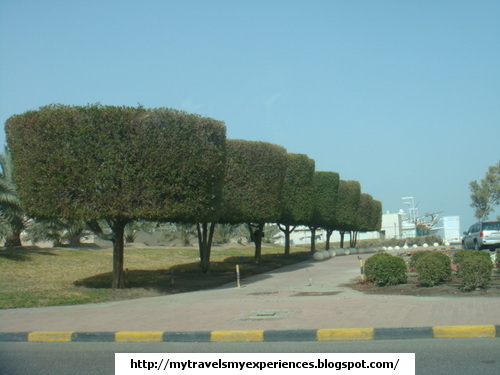 My Travels,My Experiences: How Green is Kuwait?