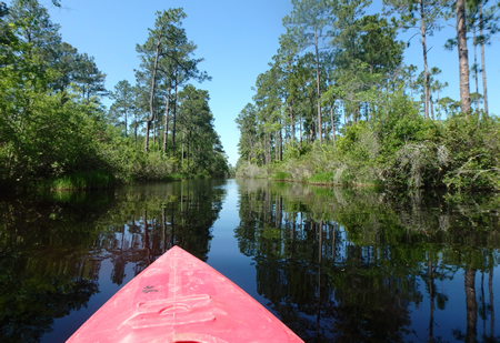Desolation Florida: Adventures Across the Border: Okefenokee Swamp from ...