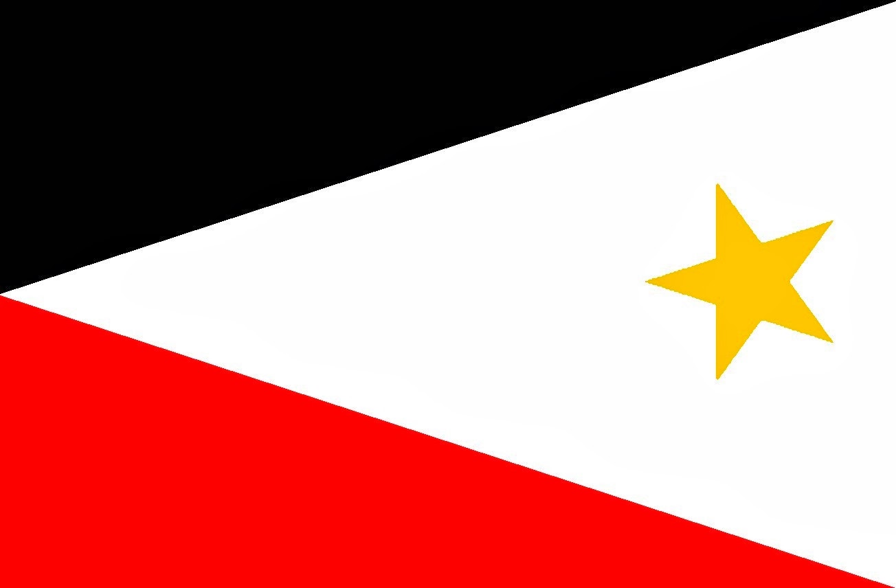 The Voice of Vexillology, Flags & Heraldry: The Western Hemisphere Flag