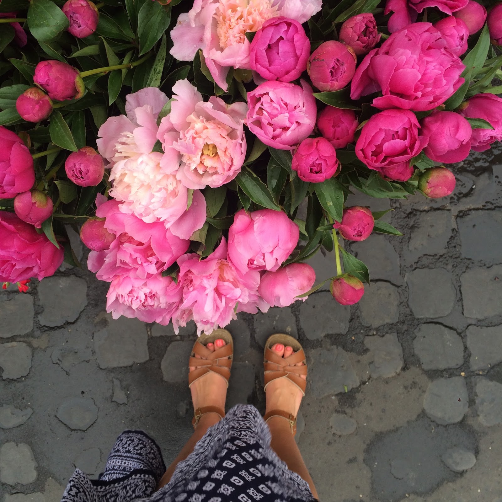 Travel - Rome {Part 1 of the Italian travelogue} - Roses and Rolltops