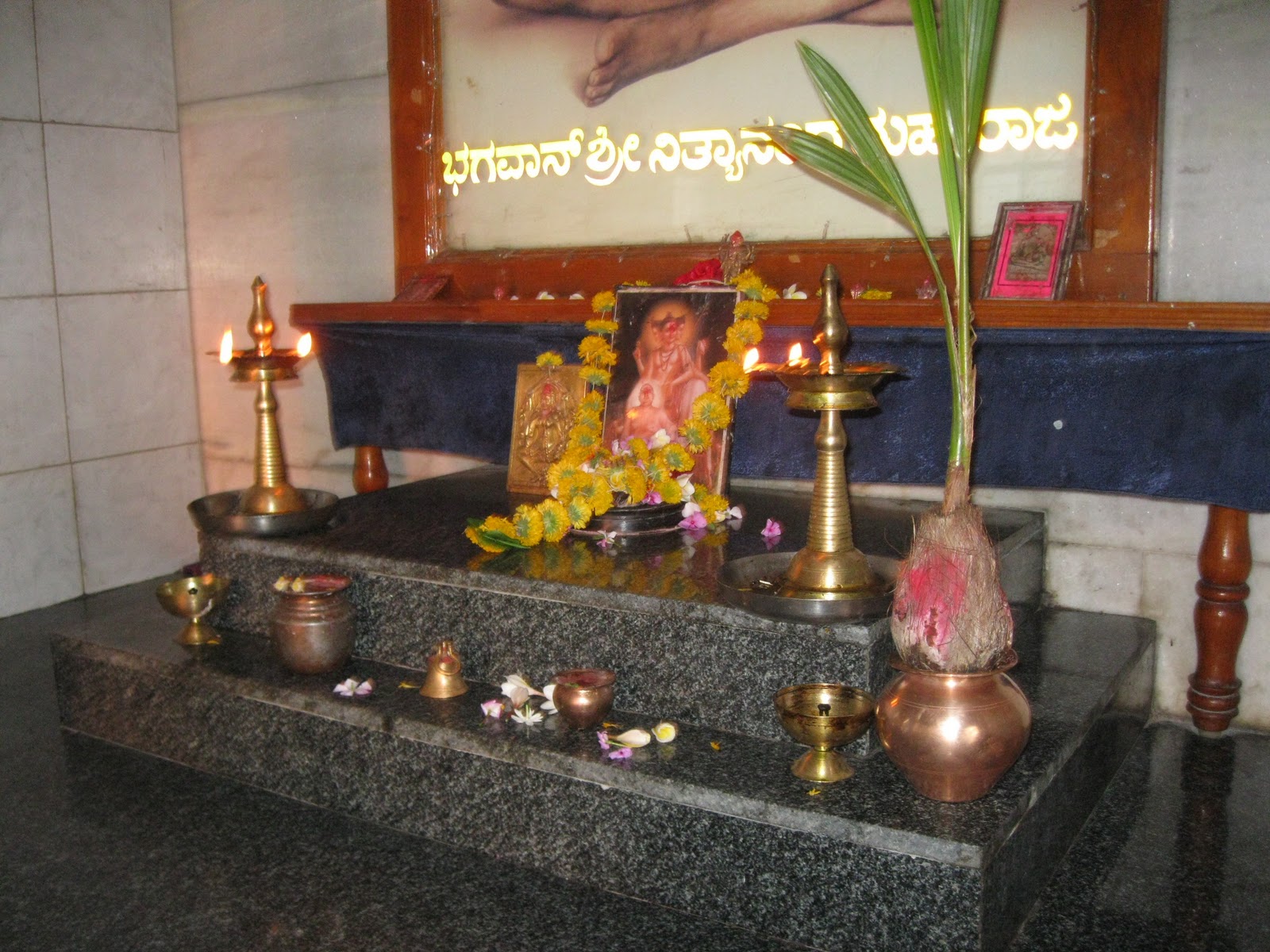 Namo Nityananda: Swami Vijayananda of Nitynanda Ashram, Bevinkoppa