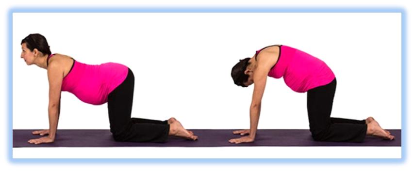 Embarazo y Maternidad: Ejercicios Para Embarazadas !RECOMENDADO!