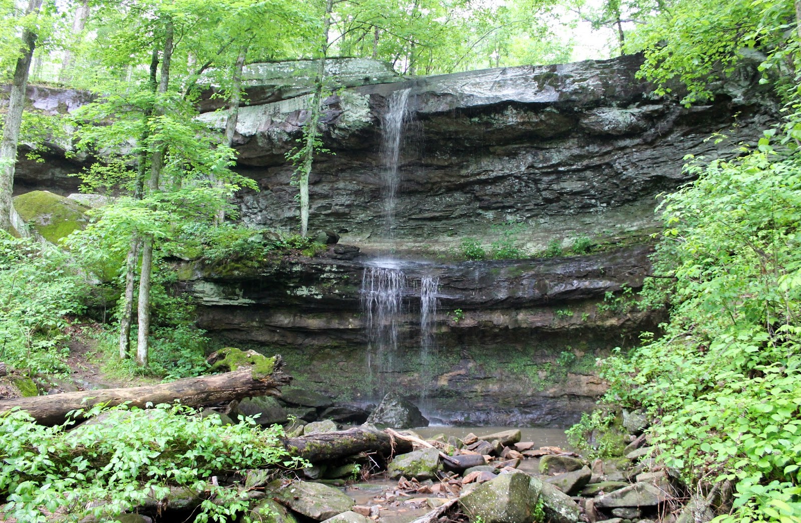 Experiencing Illinois: Rocky Bluff Trail