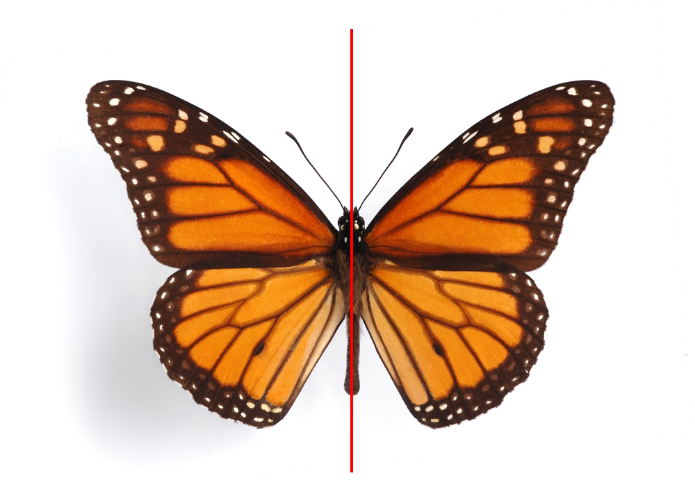 Diario de Clase: Resumen de la simetría