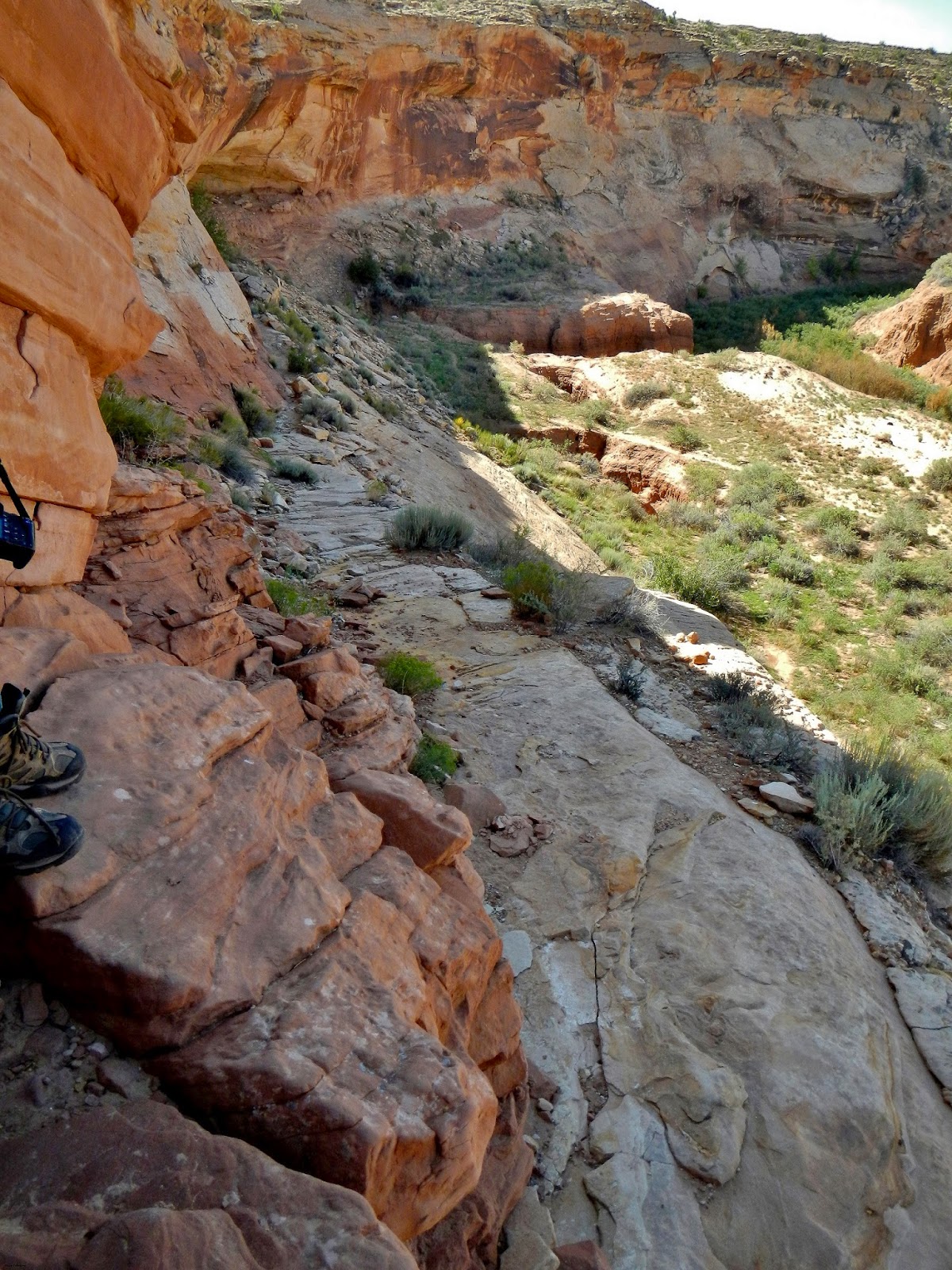 The Southwest Through Wide Brown Eyes: Wolfman Panel and Ruins - Comb ...