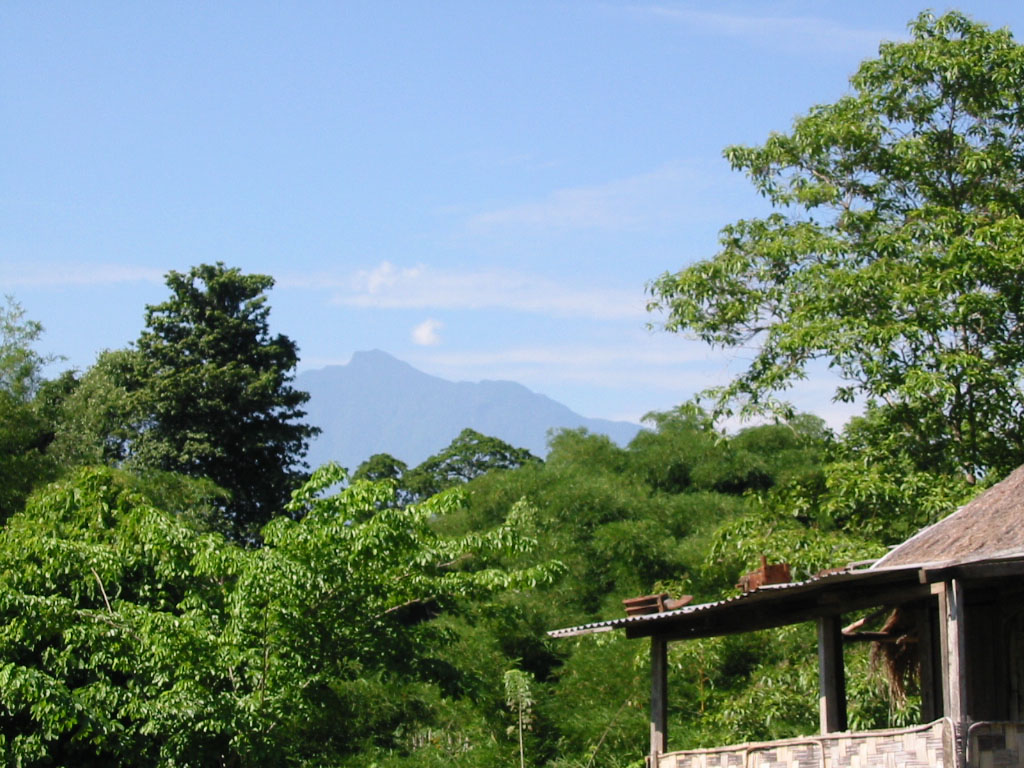 Yumi Stori: Ramu valley magic