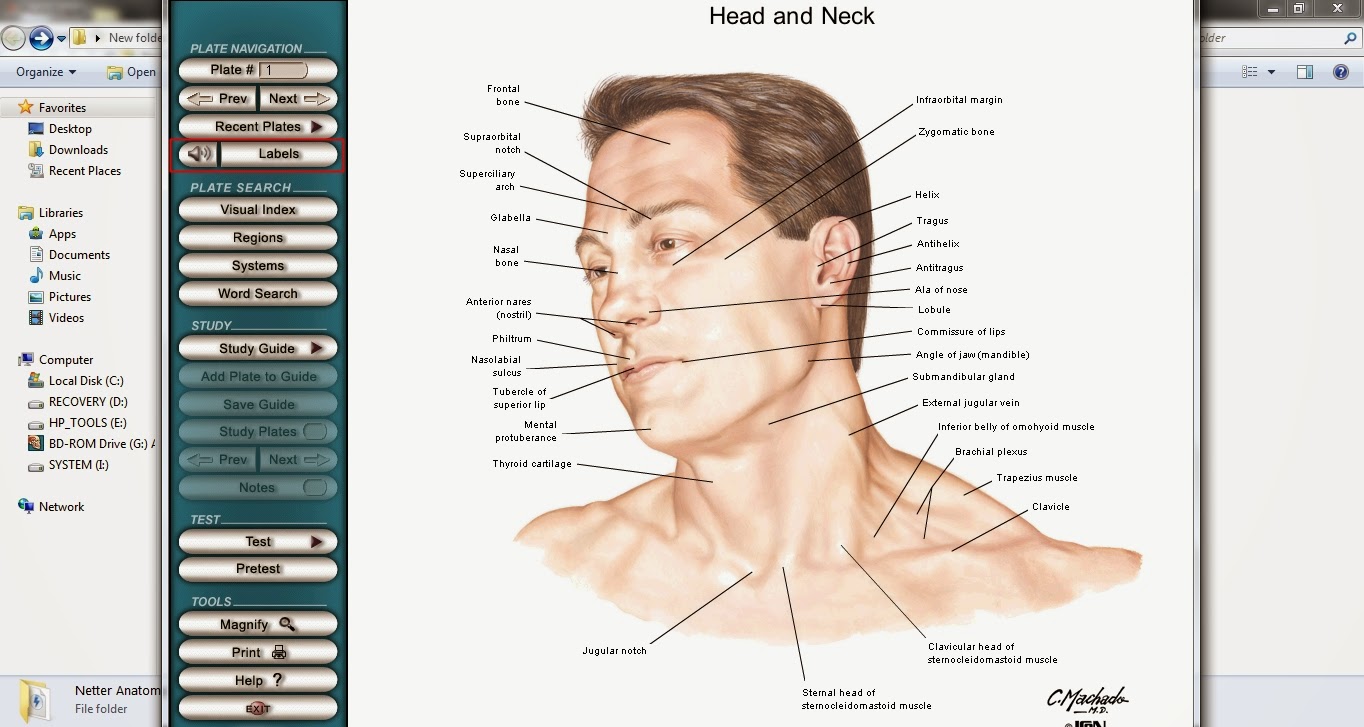 Atlas interactivo de Netter [CD] [ISO]