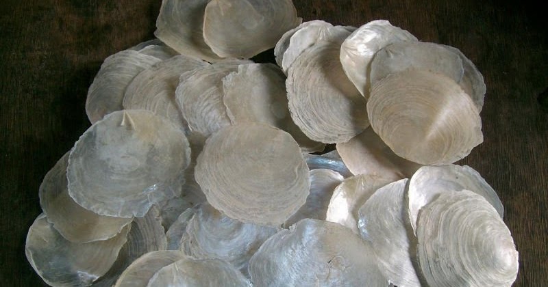 Capiz Best Products: Kapis