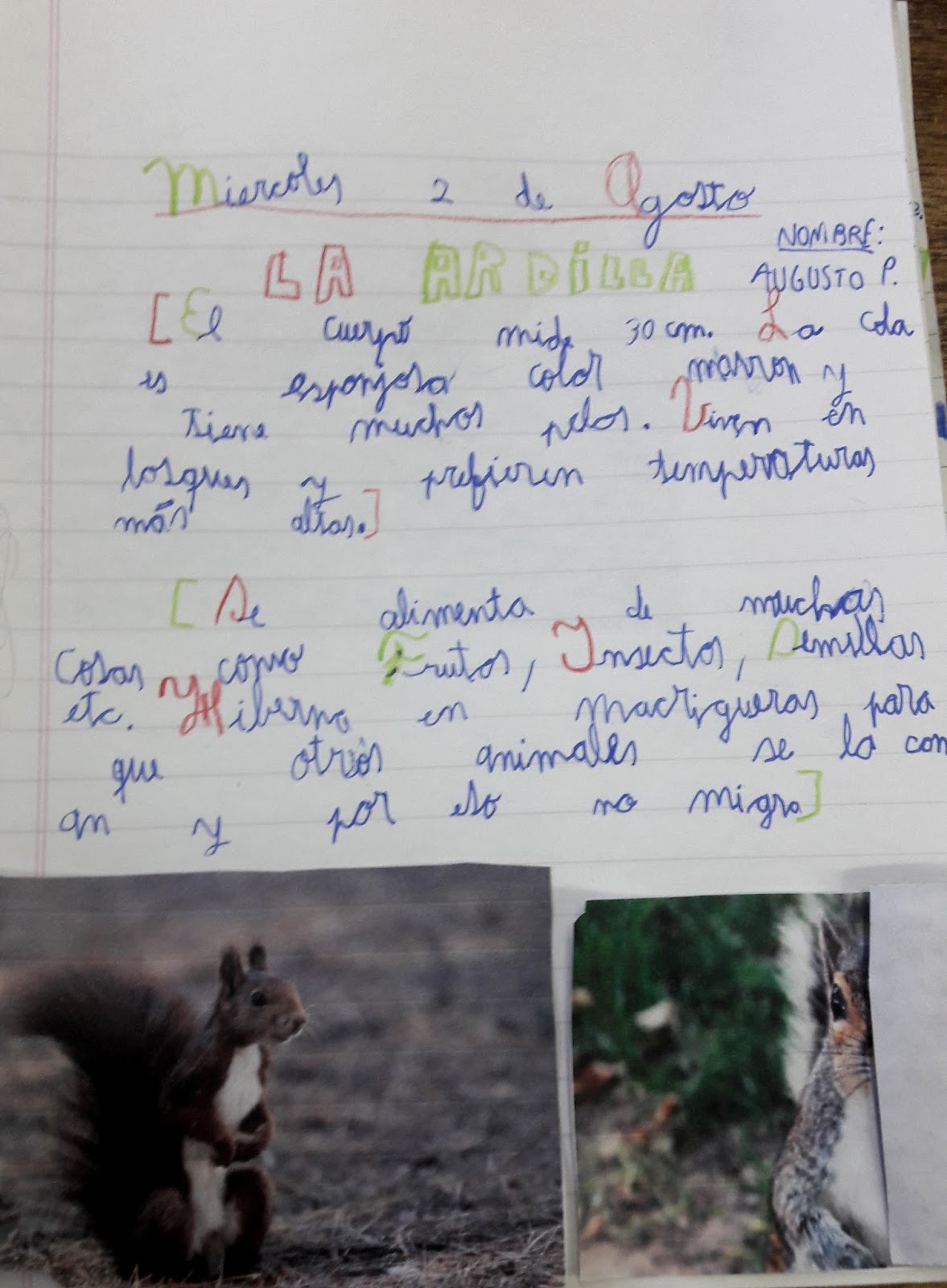 ANIMALES QUE HIBERNAN O MIGRAN