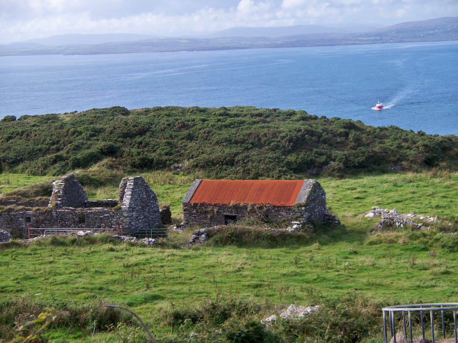 Arthur's Eden: A walk on Cape Clear with Chuck Kruger followed by Goats ...