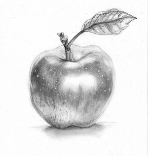 Drawing: On Observation