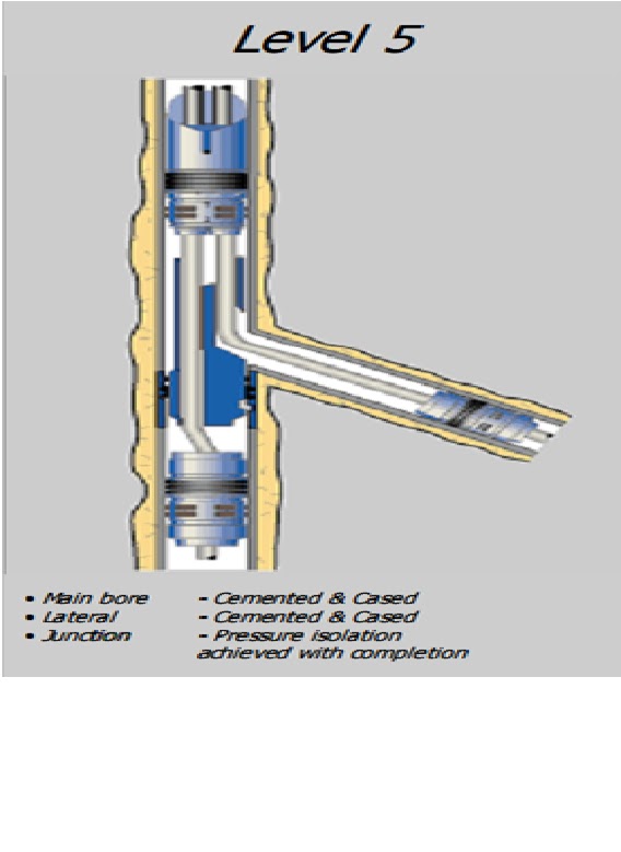 Drilling and Completion of Multilateral Wells | petroleum pedia