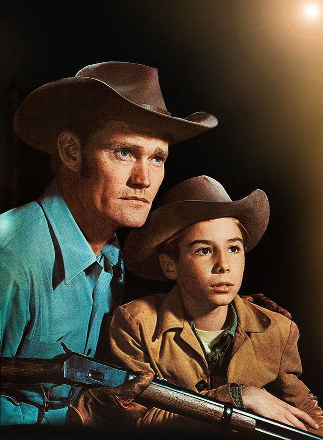 Series de TV Inolvidables: EL HOMBRE DEL RIFLE