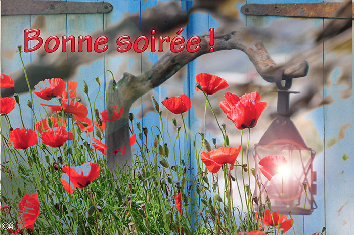 j'ai vu, j'ai photographié, je partage: E-card "Bonne soirée"