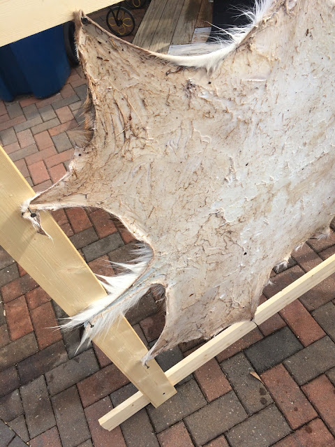 Home Tanning Your Deer Hide