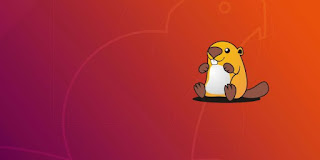 I love ubuntu!: UBUNTU 18.04 BIONIC BEAVER WALLPAPERS!!!!