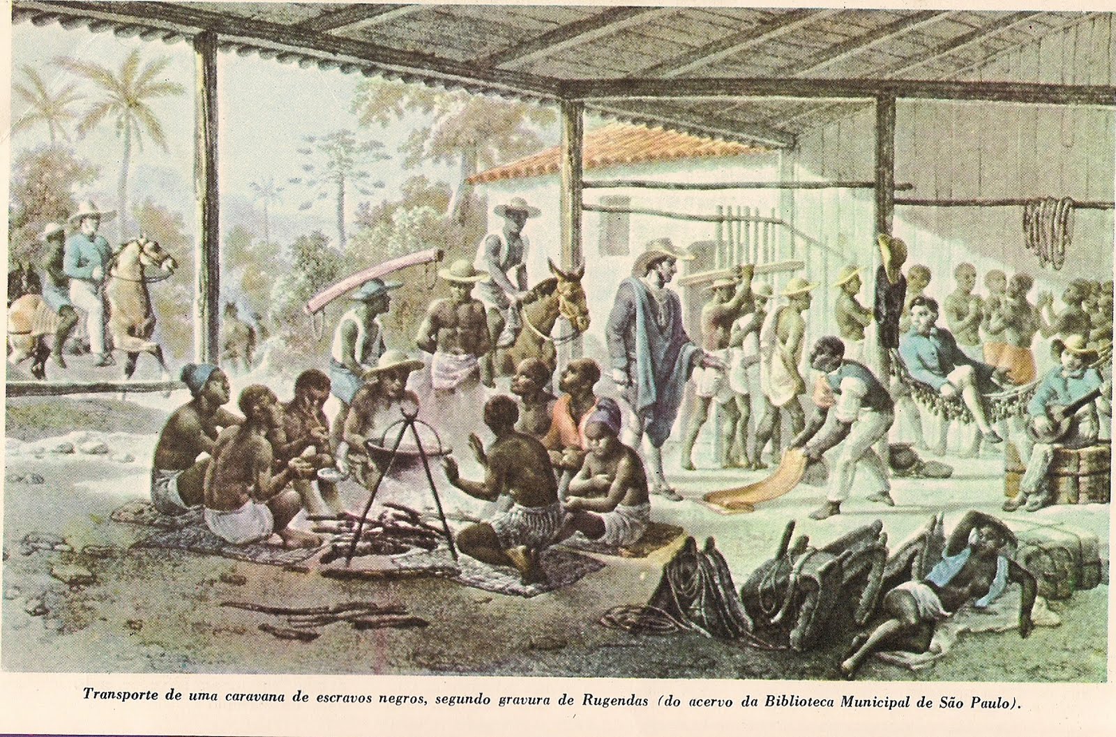 História e Geografia!: EXPLORAÇÕES NA ÁFRICA.