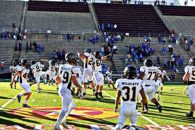 CWSN - Canadian Wildcat Sports Network